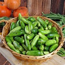 TINDLY 5KG – D Trading Services